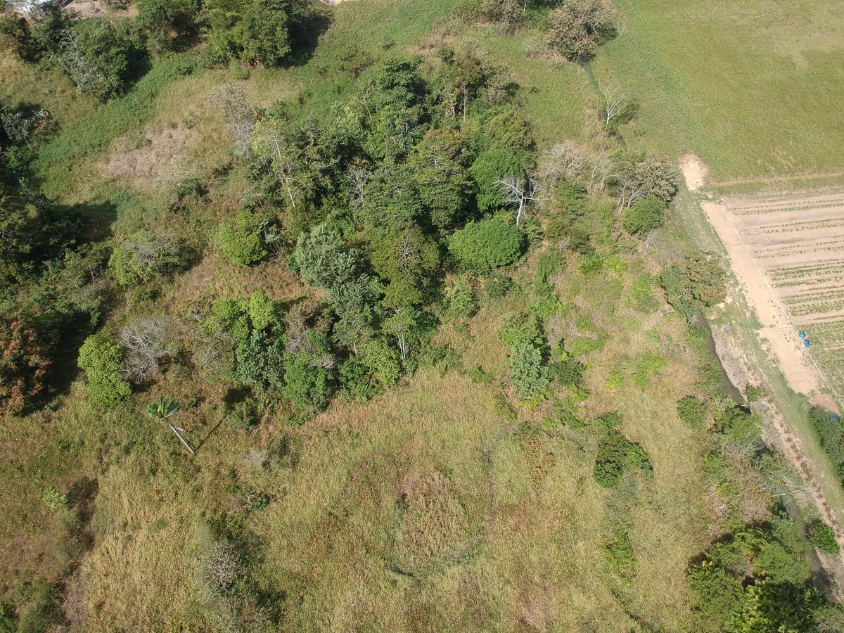 Cunupia - Welcome Rd. - 16 Acres